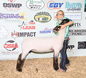 Ohio Breeders Classic | Ohio Sheep Improvement Association