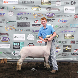 Mid-Ohio Lamb Classic | Ohio Sheep Improvement Association
