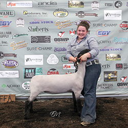 Mid-Ohio Lamb Classic | Ohio Sheep Improvement Association