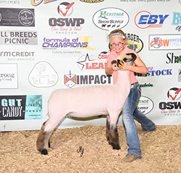 2017 Results | Ohio Sheep Improvement Association