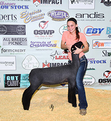 2017 Results | Ohio Sheep Improvement Association