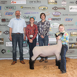 Golden Key LEAD Show | Ohio Sheep Improvement Association