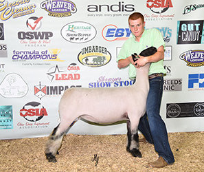 2017 Results | Ohio Sheep Improvement Association