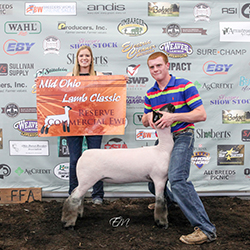 Mid-Ohio Lamb Classic | Ohio Sheep Improvement Association
