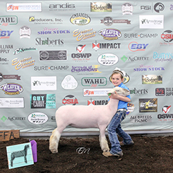 Mid-Ohio Lamb Classic | Ohio Sheep Improvement Association