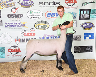 2017 Results | Ohio Sheep Improvement Association