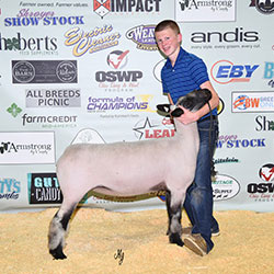 Mid Ohio Lamb Classic | Ohio Sheep Improvement Association