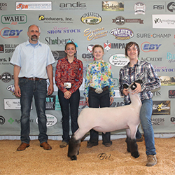 Golden Key LEAD Show | Ohio Sheep Improvement Association