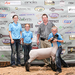 Mid-Ohio Lamb Classic | Ohio Sheep Improvement Association