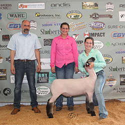 Golden Key LEAD Show | Ohio Sheep Improvement Association
