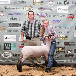 Mid-Ohio Lamb Classic | Ohio Sheep Improvement Association