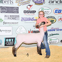 Mid Ohio Lamb Classic | Ohio Sheep Improvement Association