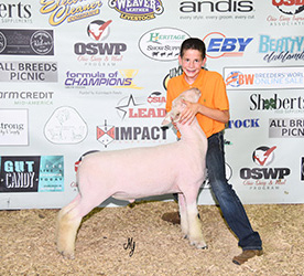 Ohio Breeders Classic | Ohio Sheep Improvement Association
