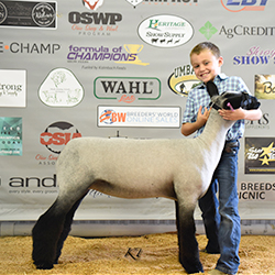 Golden Key LEAD Show | Ohio Sheep Improvement Association