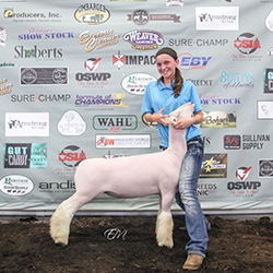 Mid-Ohio Lamb Classic | Ohio Sheep Improvement Association