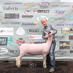 Mid-Ohio Lamb Classic | Ohio Sheep Improvement Association