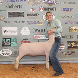Golden Key LEAD Show | Ohio Sheep Improvement Association