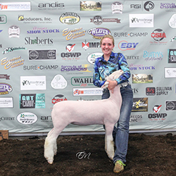 Mid-Ohio Lamb Classic | Ohio Sheep Improvement Association