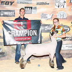 Buckeye Livestock Expo | Ohio Sheep Improvement Association