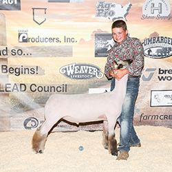 Buckeye Livestock Expo | Ohio Sheep Improvement Association